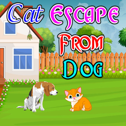 Cat Escape From Dog - Play Cat Escape From Dog at UGameZone.com